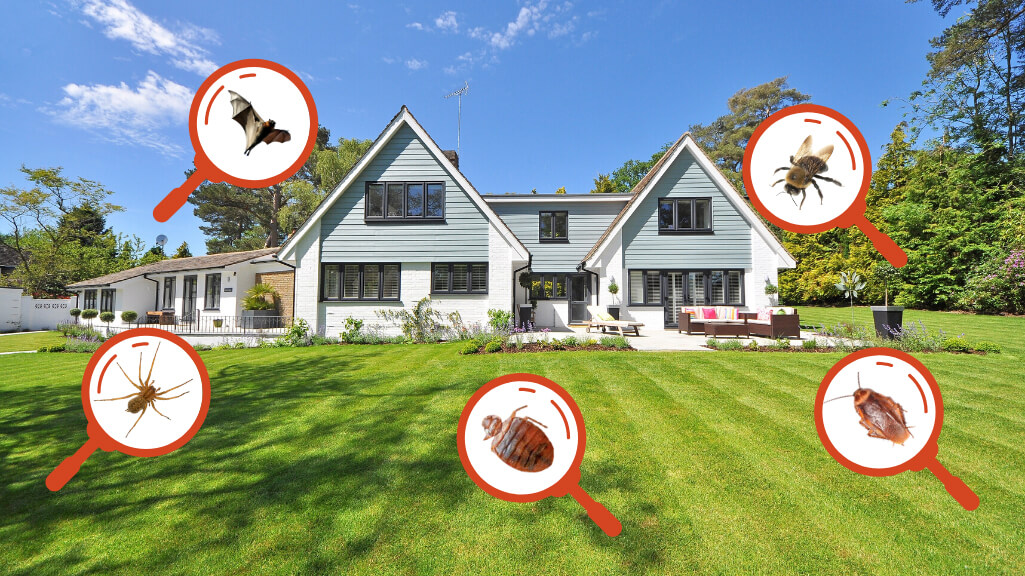 Best Ultrasonic Pest Repellers of 2026 (Ranked & Reviewed)